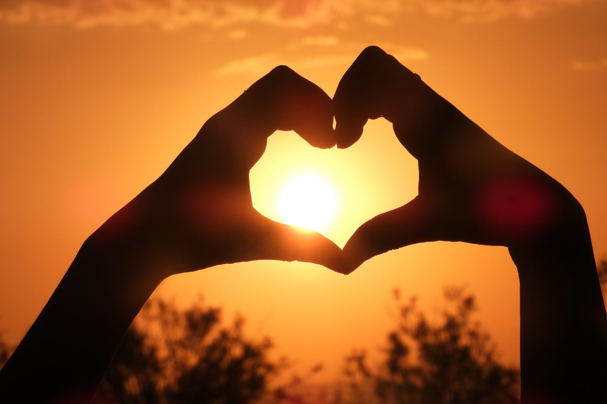 About Us - Homes First