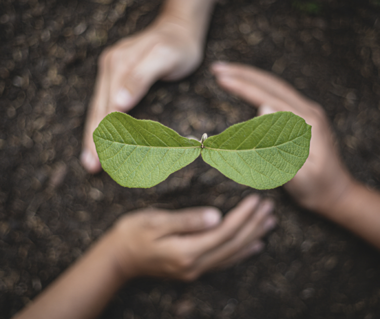 Our Programs - Homes First